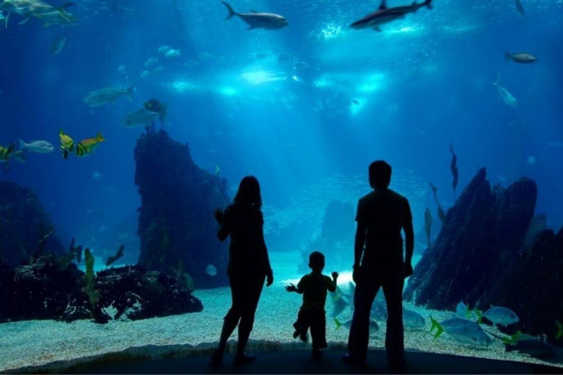 Actividades divertidas en Toronto a poca distancia de su apartamento ...